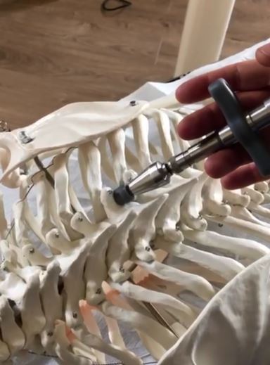 ACTIVATOR METHODS® CHIROPRACTIC TECHNIQUE :: SPINAL CARE