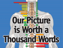 TERMOGRAFIA COMPUTERIZZATA :: SPINAL CARE